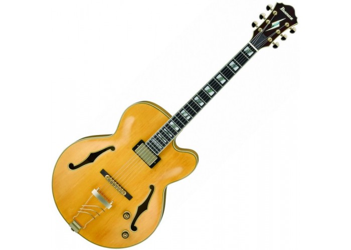 Купить полуакустическую гитару IBANEZ PM2 AA Pat Metheny в нашем ...