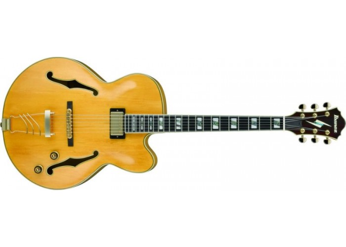 Купить полуакустическую гитару IBANEZ PM2 AA Pat Metheny в нашем ...
