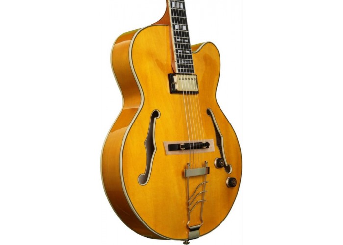 Купить полуакустическую гитару IBANEZ PM2 AA Pat Metheny в нашем ...