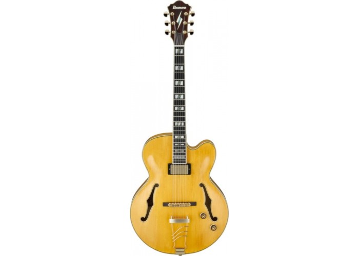 Купить полуакустическую гитару IBANEZ PM2 AA Pat Metheny в нашем ...